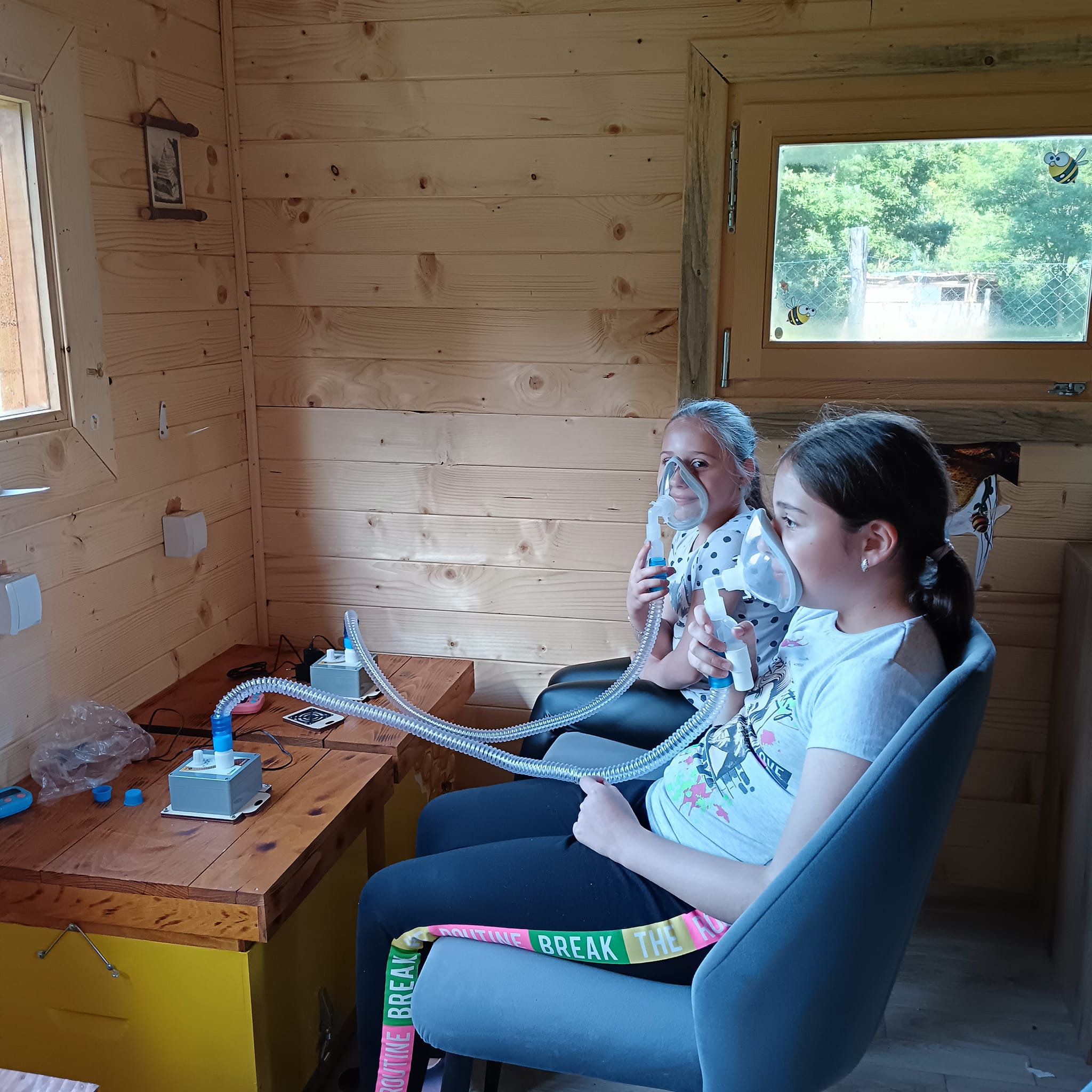 Api Komora - Api Komora Sanus