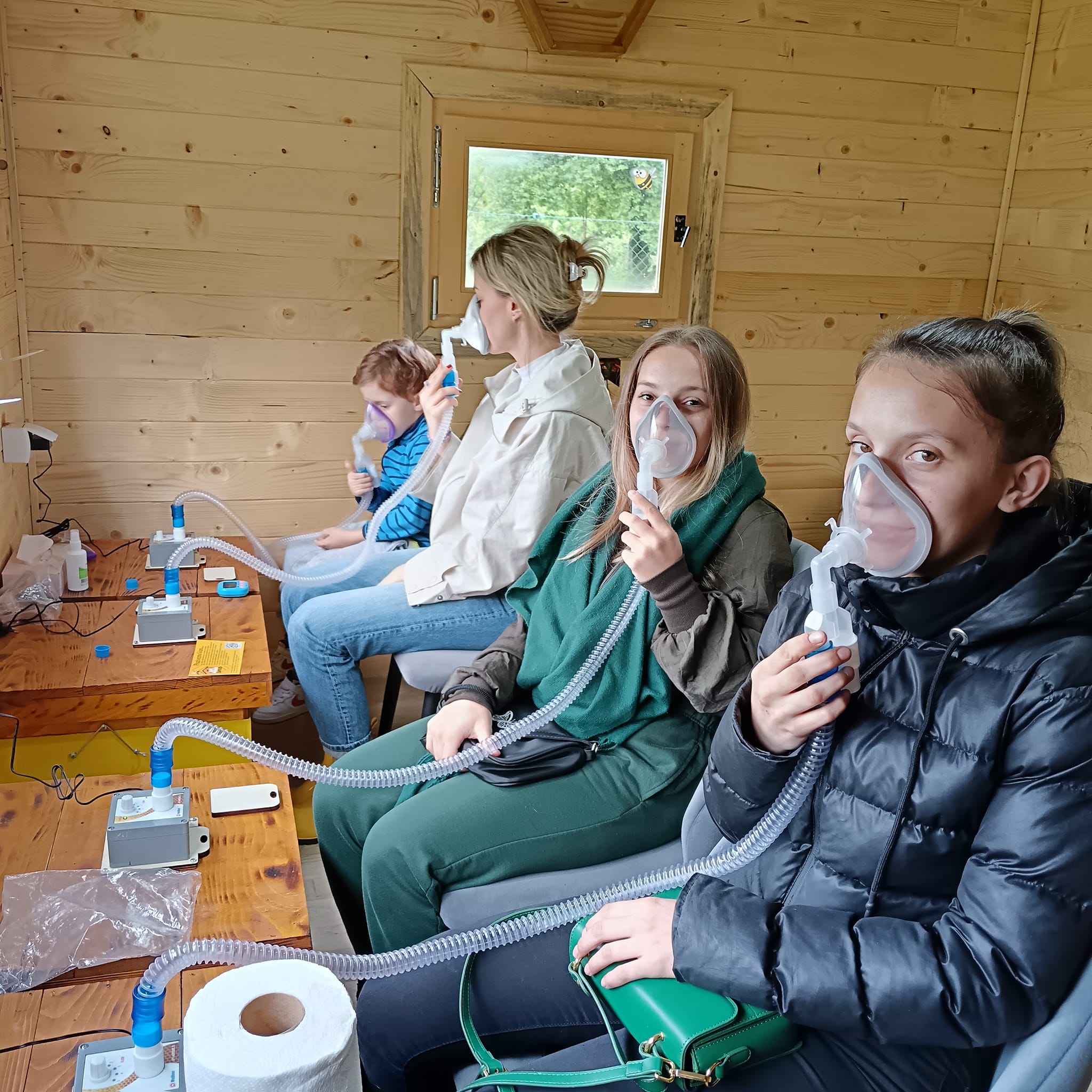 Api Komora - Api Komora Sanus